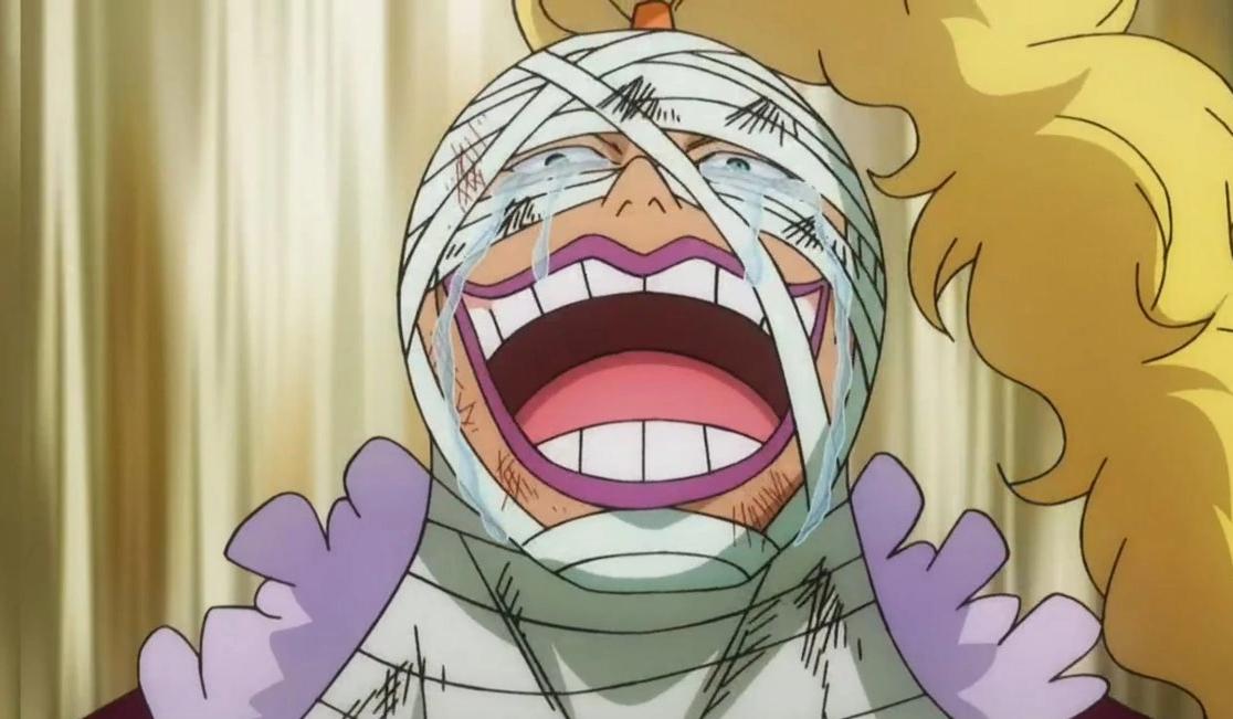 10+ Most Underrated Characters In One Piece. LIST - ** OtakuHermit